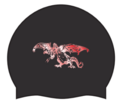 Home - RRHS Swim & Dive