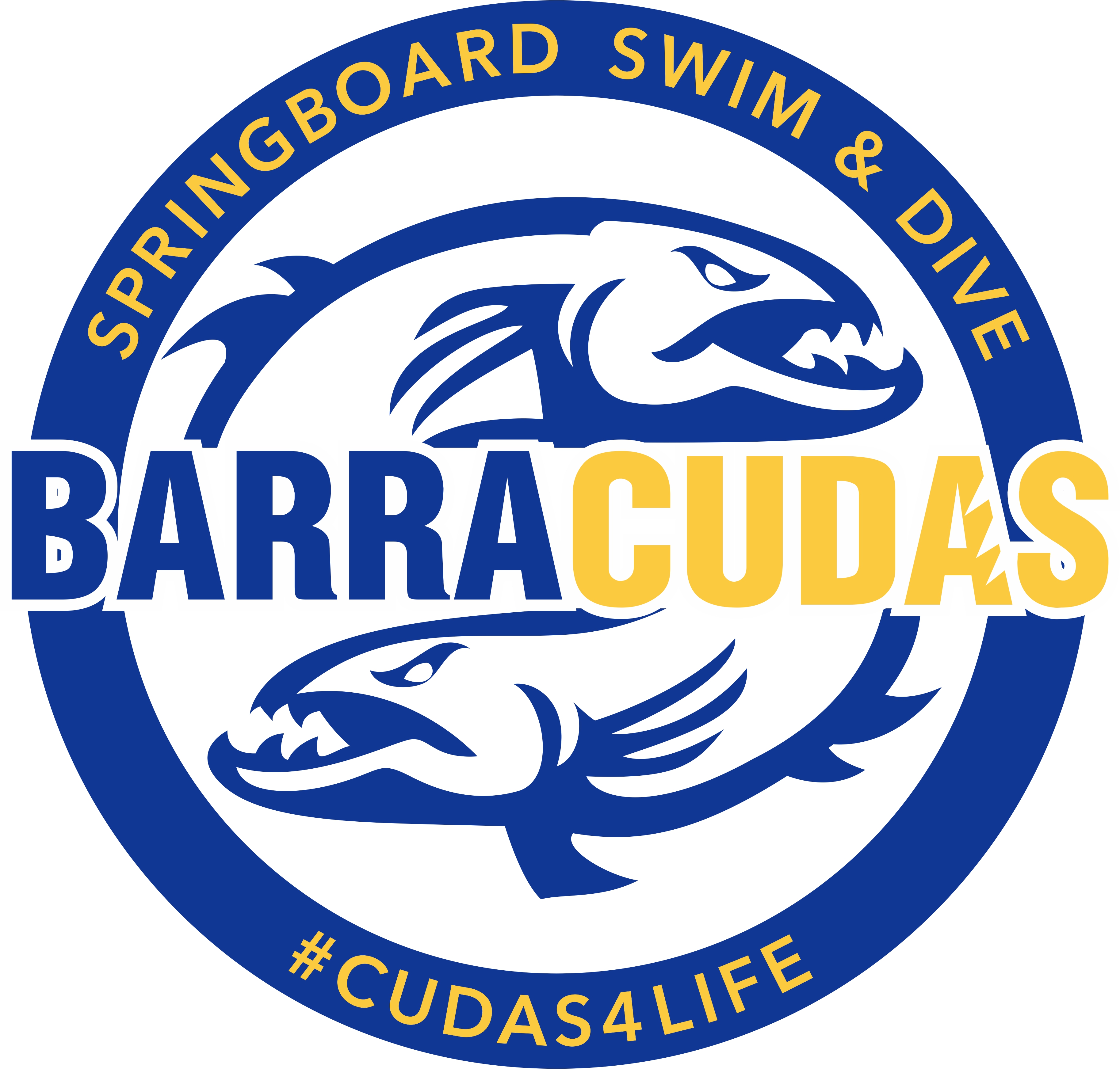 Home - Springboard Barracudas Swim and Dive