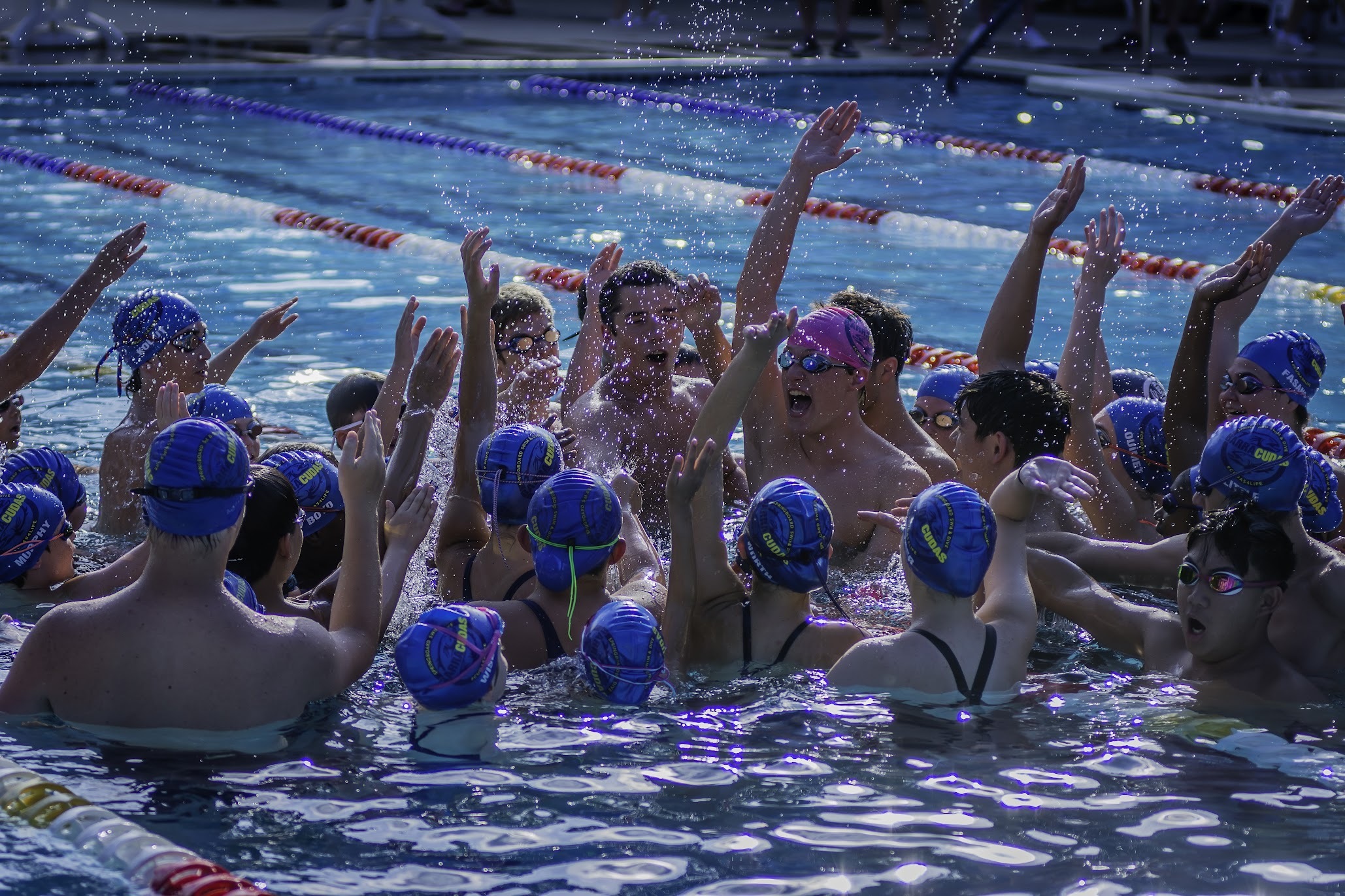 Home - Springboard Barracudas Swim and Dive