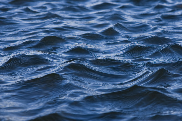 Ripples Program - Rolling Forest Tidal Waves