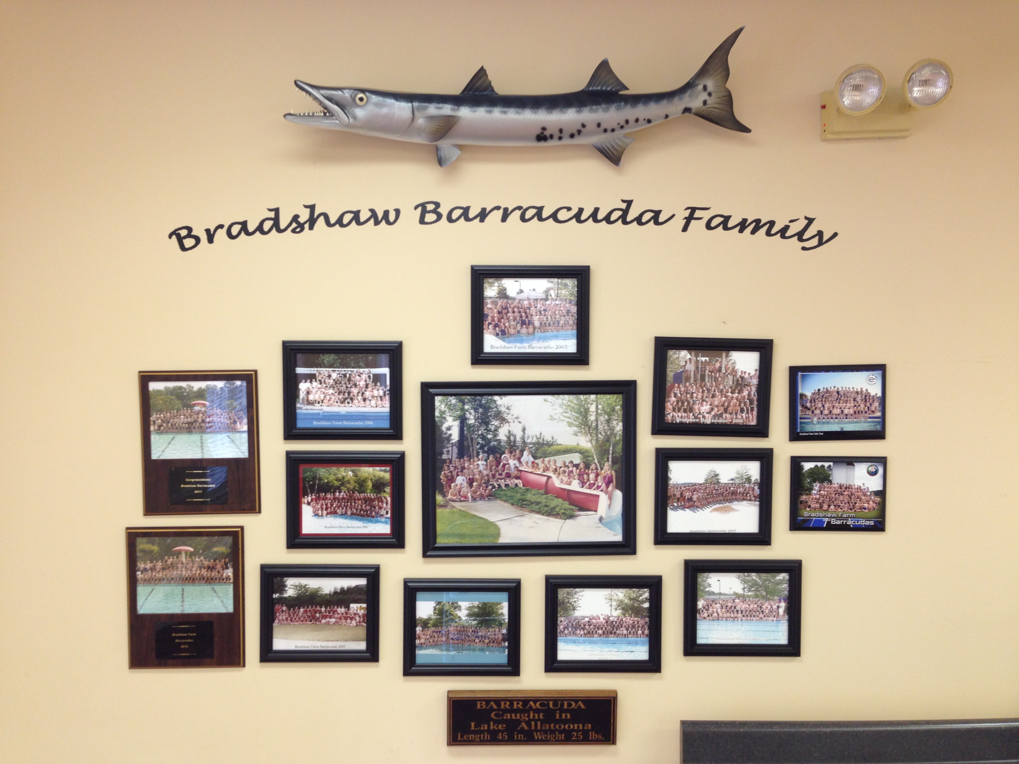Team Pics - Bradshaw Farm Barracudas