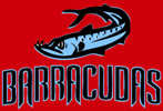 The Team - Barracudas Swim Team
