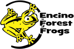 Home - Encino Forest Frogs