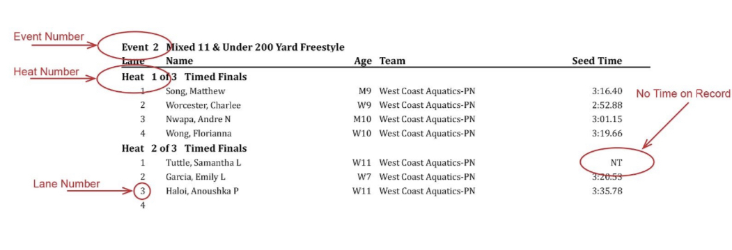 Understanding a Swim Meet - SUGARWOOD STINGRAYS