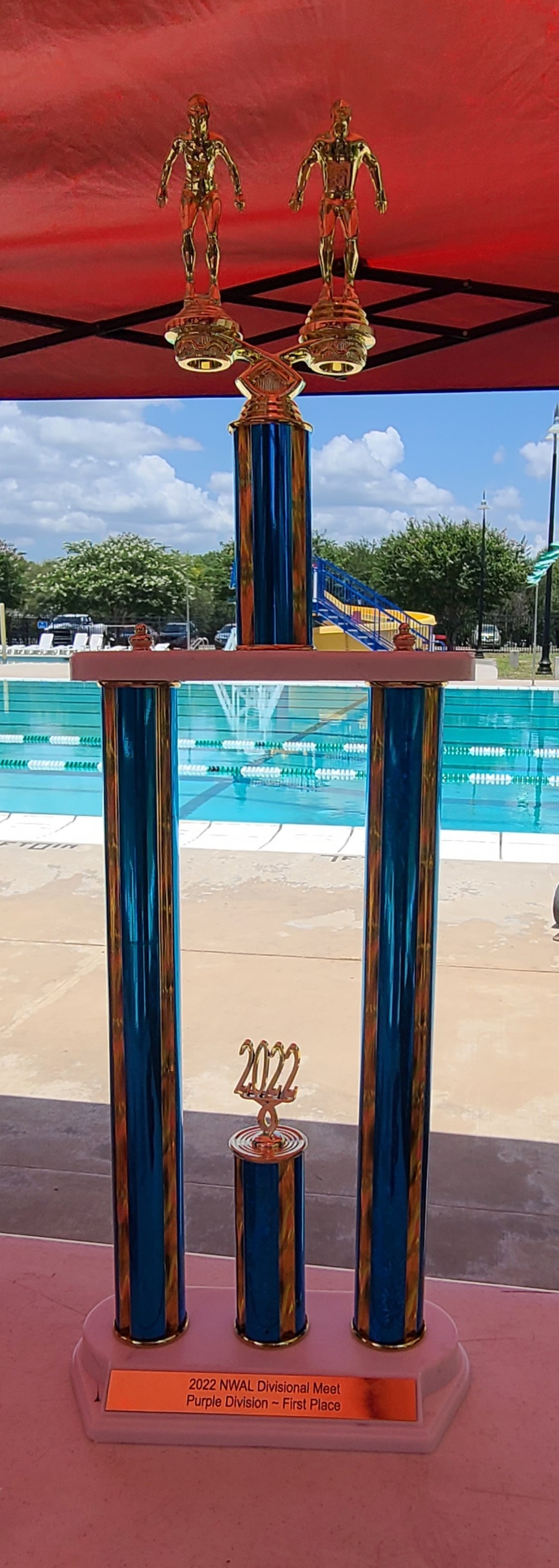 Divisionals - Brenham Dolphins