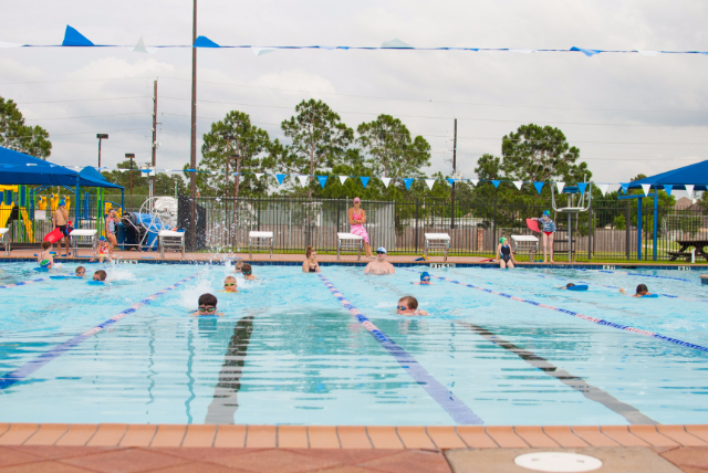 Home - Spring Creek Oaks Dolphins