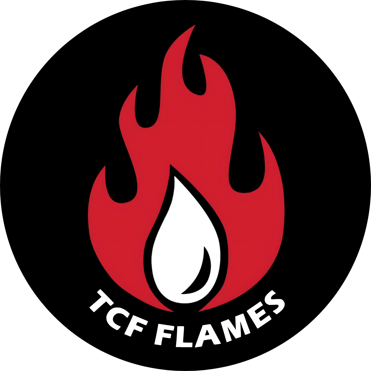 Home - Three Chimneys Flames Swim Team