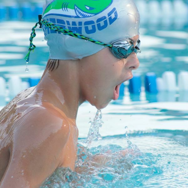 Swim Meet 101 - Sherwood Sharks