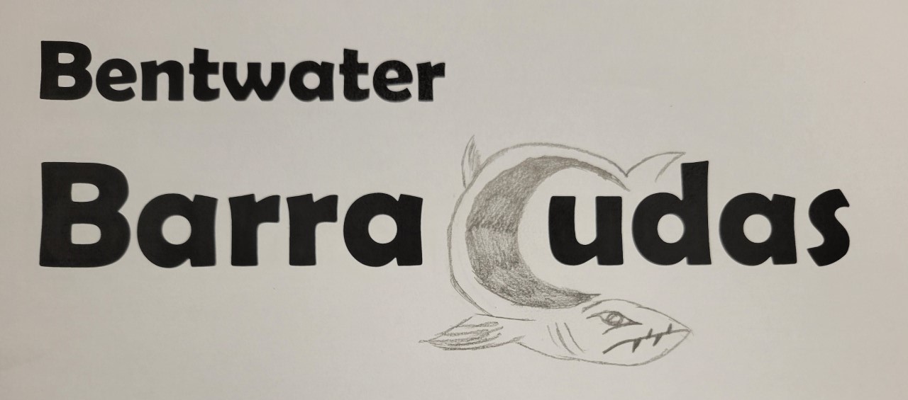 Home - Bentwater Barracudas