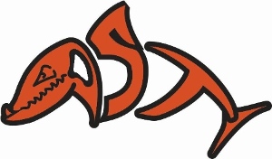 Home - Alice Swim Team