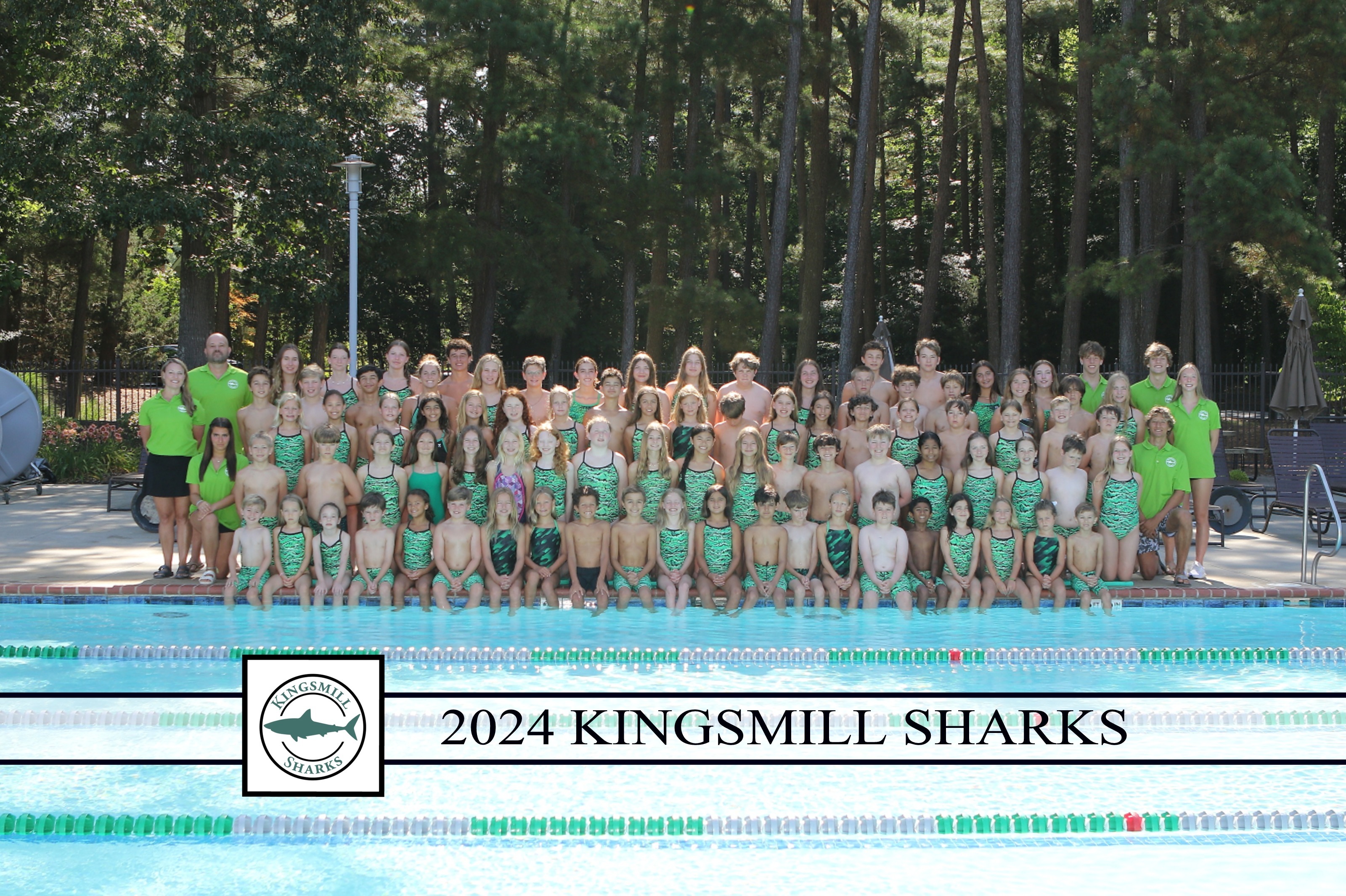 Home - Kingsmill Sharks