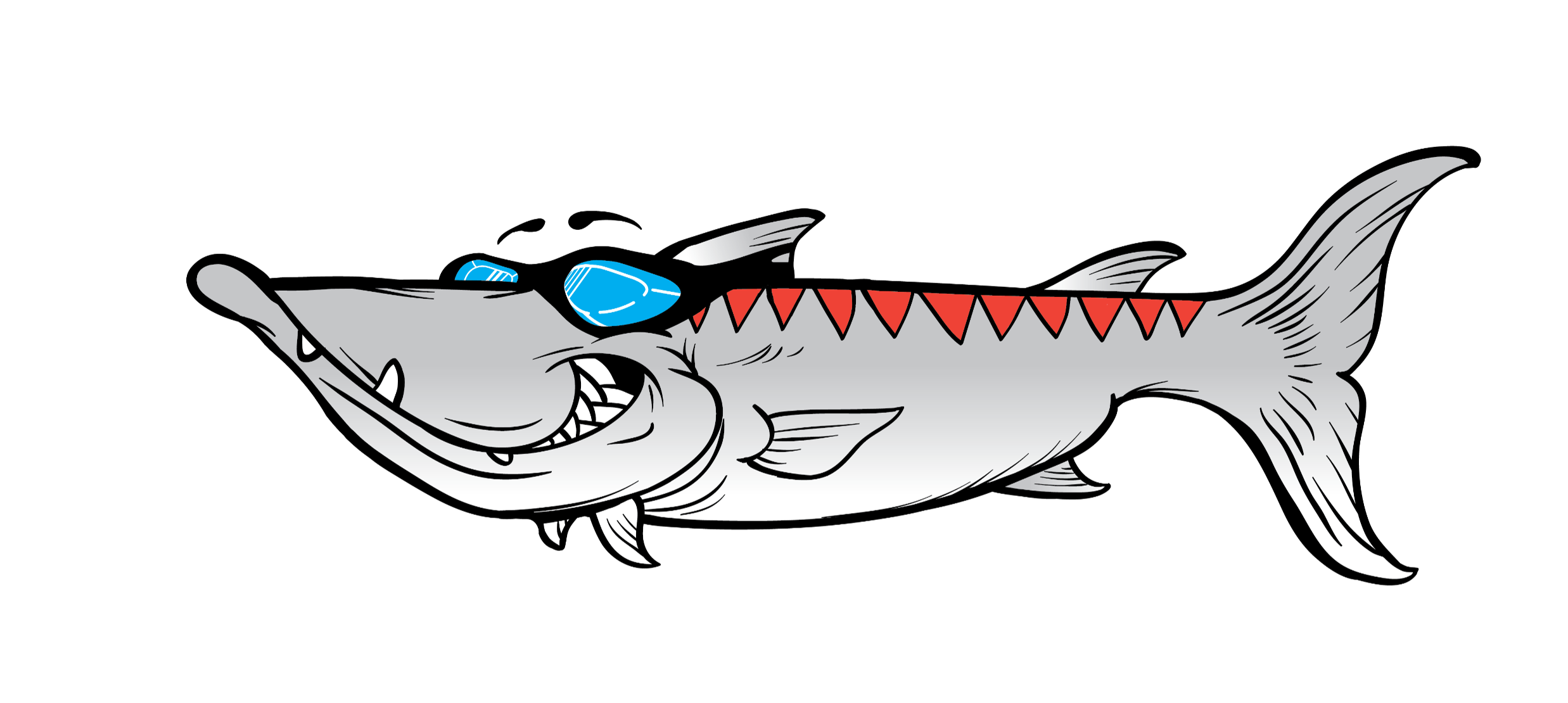 Home - South Briar Barracudas