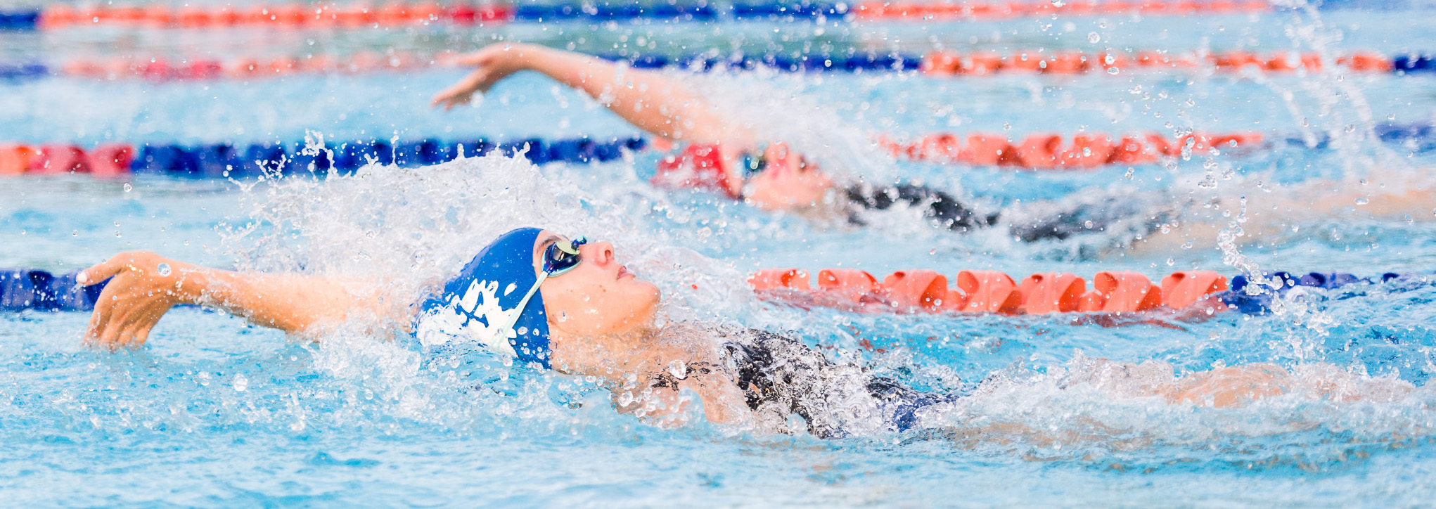 Meet Information - Fox Hunt Splash