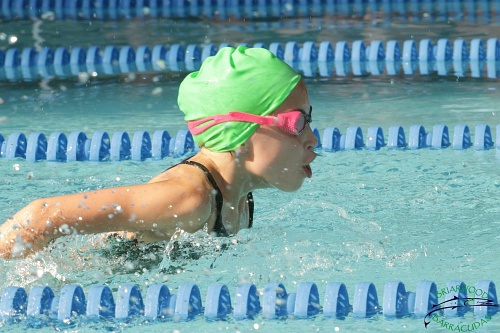 Home - Briarwood Barracudas