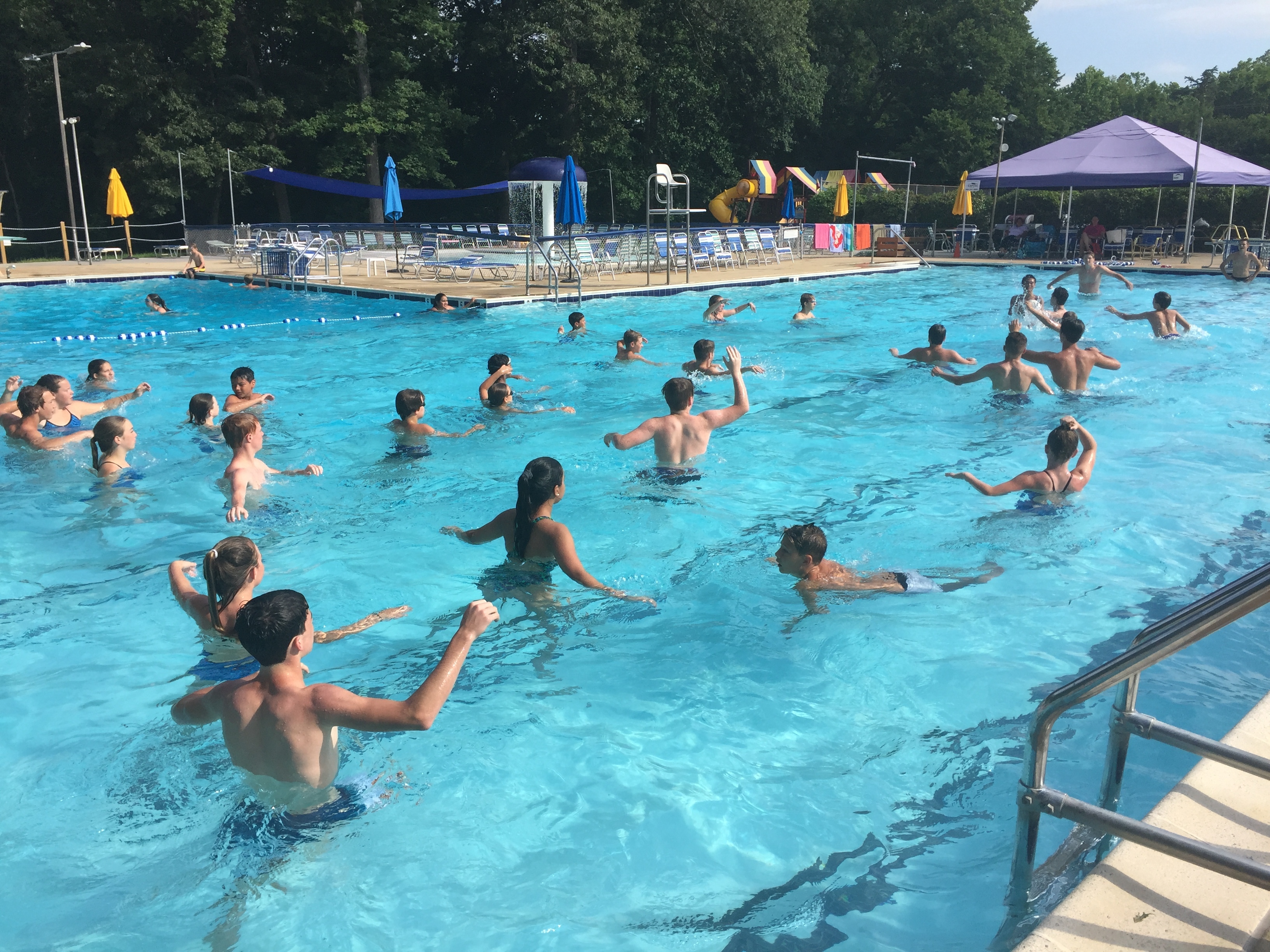 Swim Team - Ravensworth Farm Swim and Dive