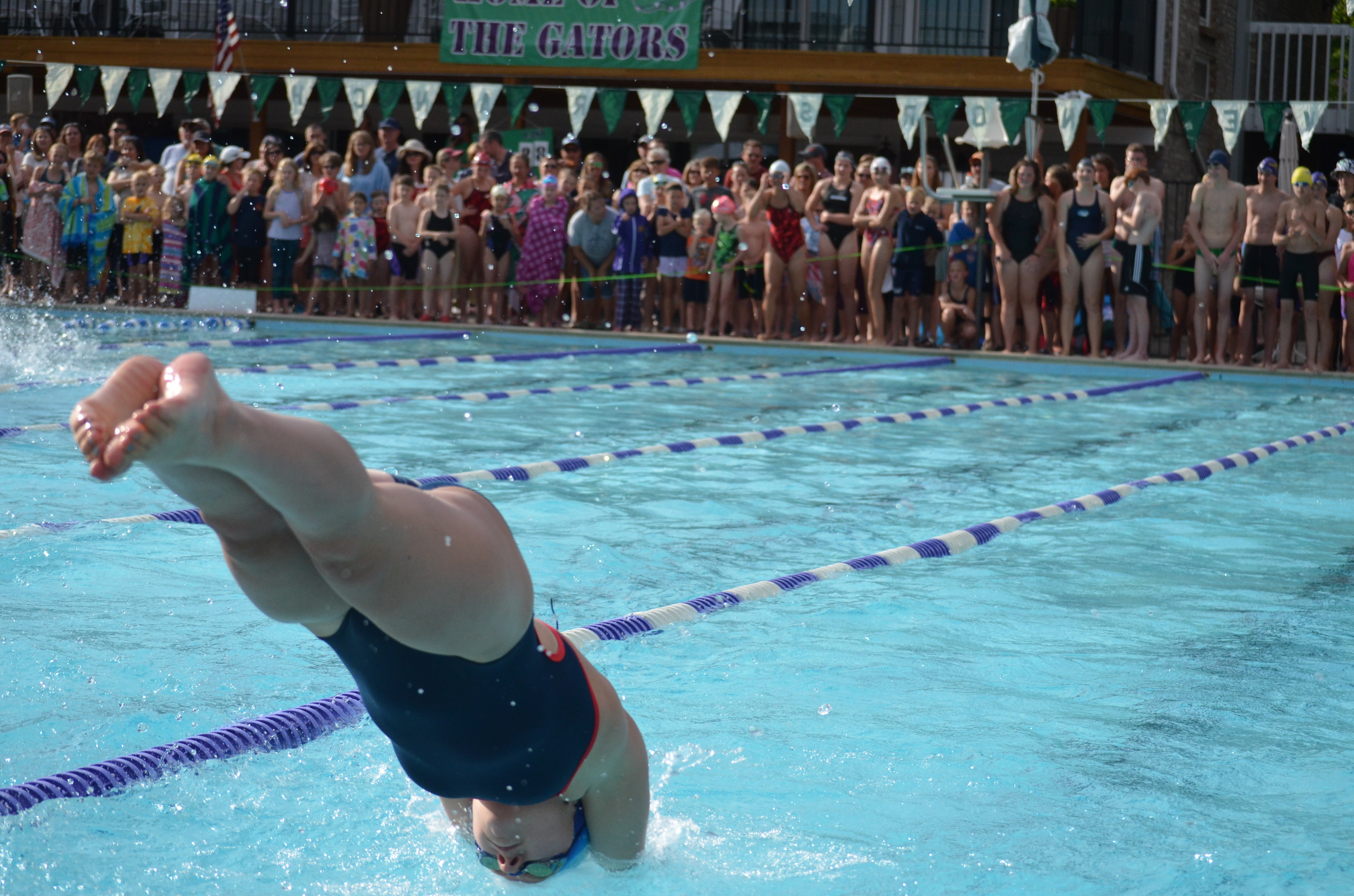 Home - South Jeffco Swim League