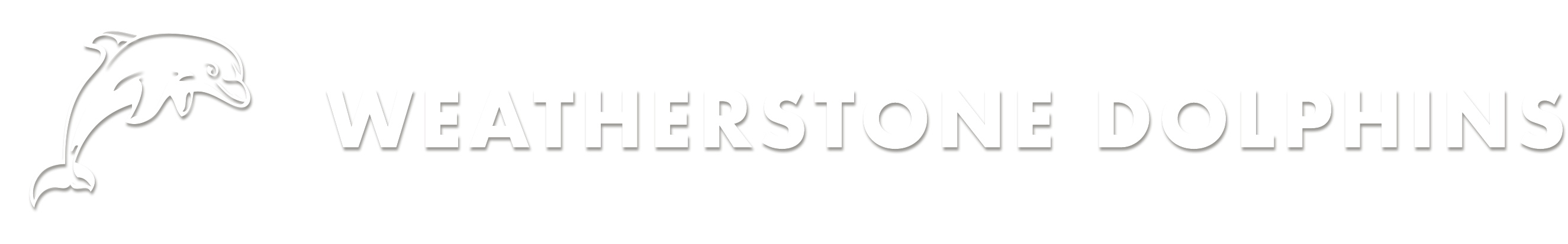 Sponsors - Weatherstone Dolphins