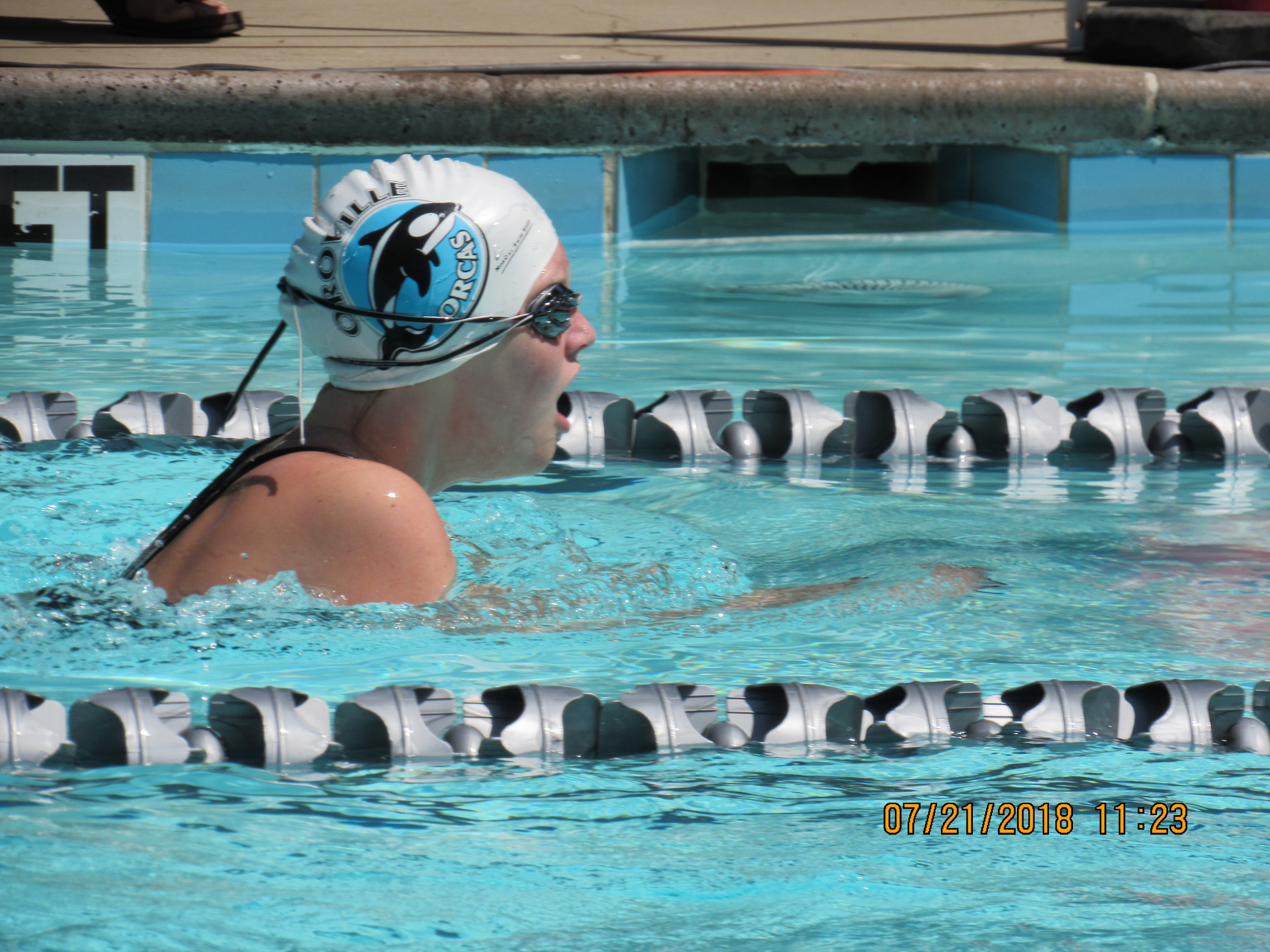 Home - OROVILLE ORCAS SWIM TEAM