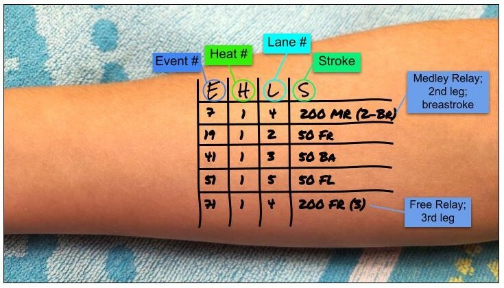 Swim Team 101 - Fermata Swim Team