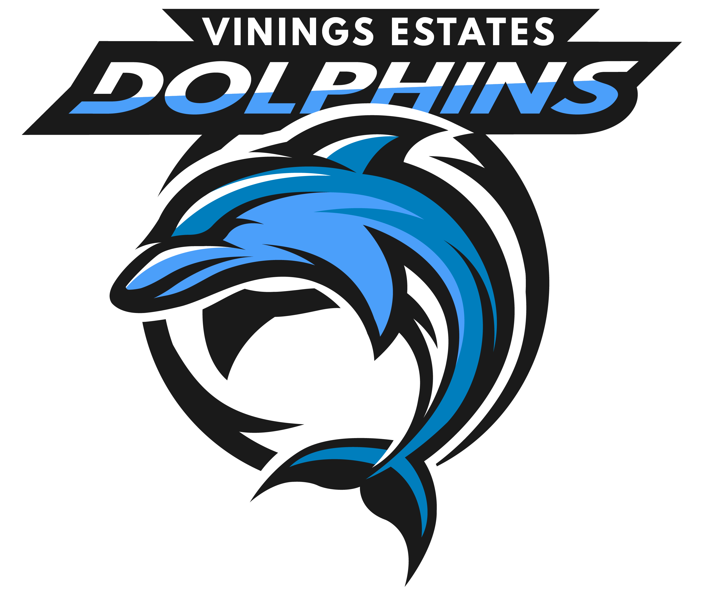 Location - Vinings Estates Swim Team