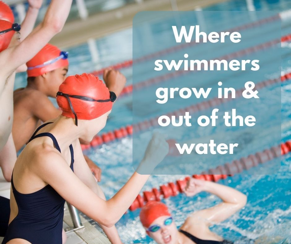 Home - Williamsport Area Swim Club