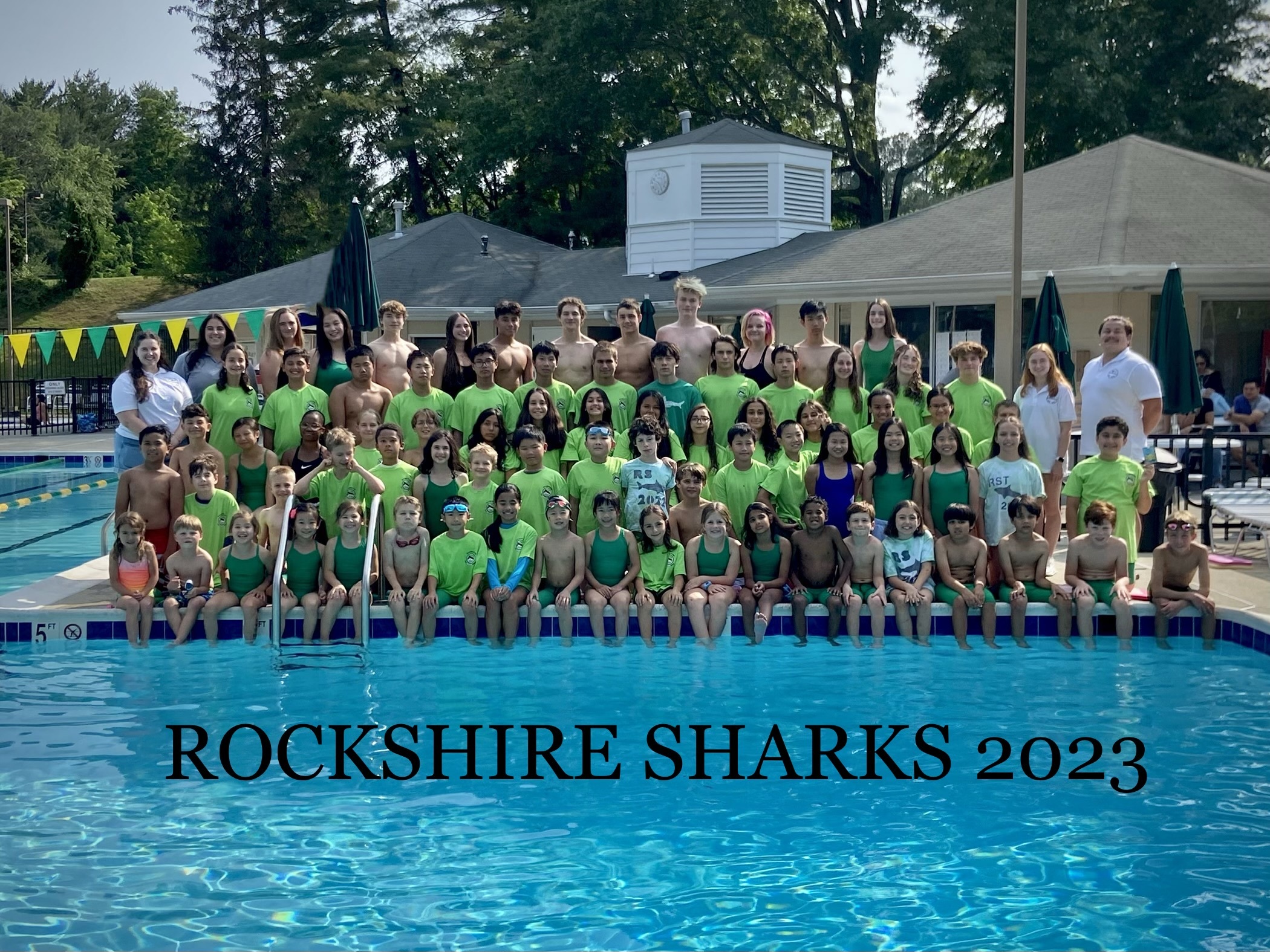 Home - Rockshire Sharks