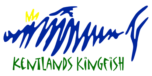 News - Kentlands Kingfish