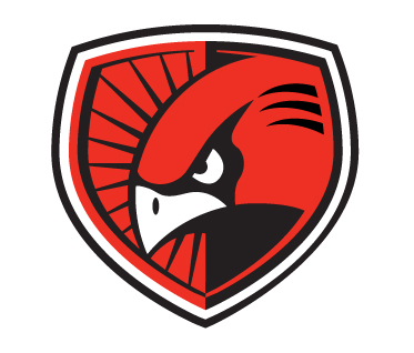 Home - Falcons Swim Team