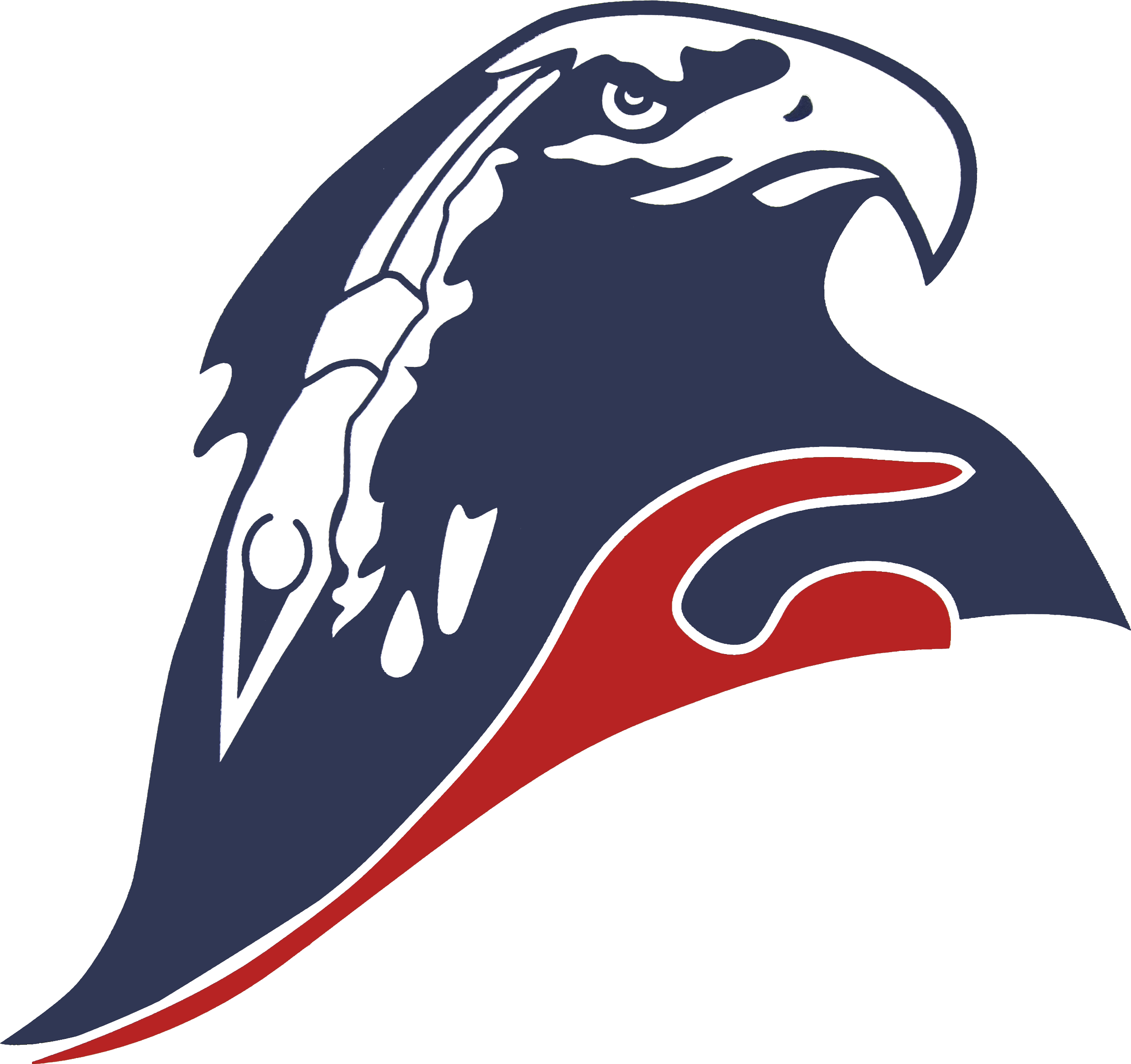 Swim Team Photos - Old Farm Swim