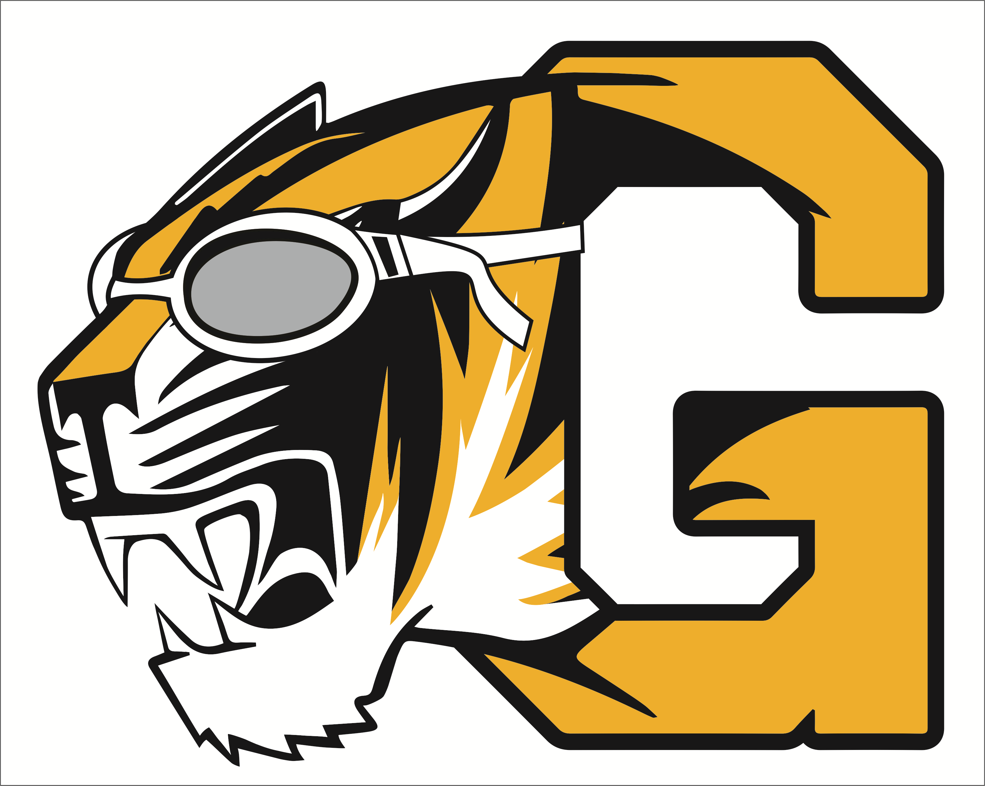 Resources - Gilbert High Swim & Dive Team