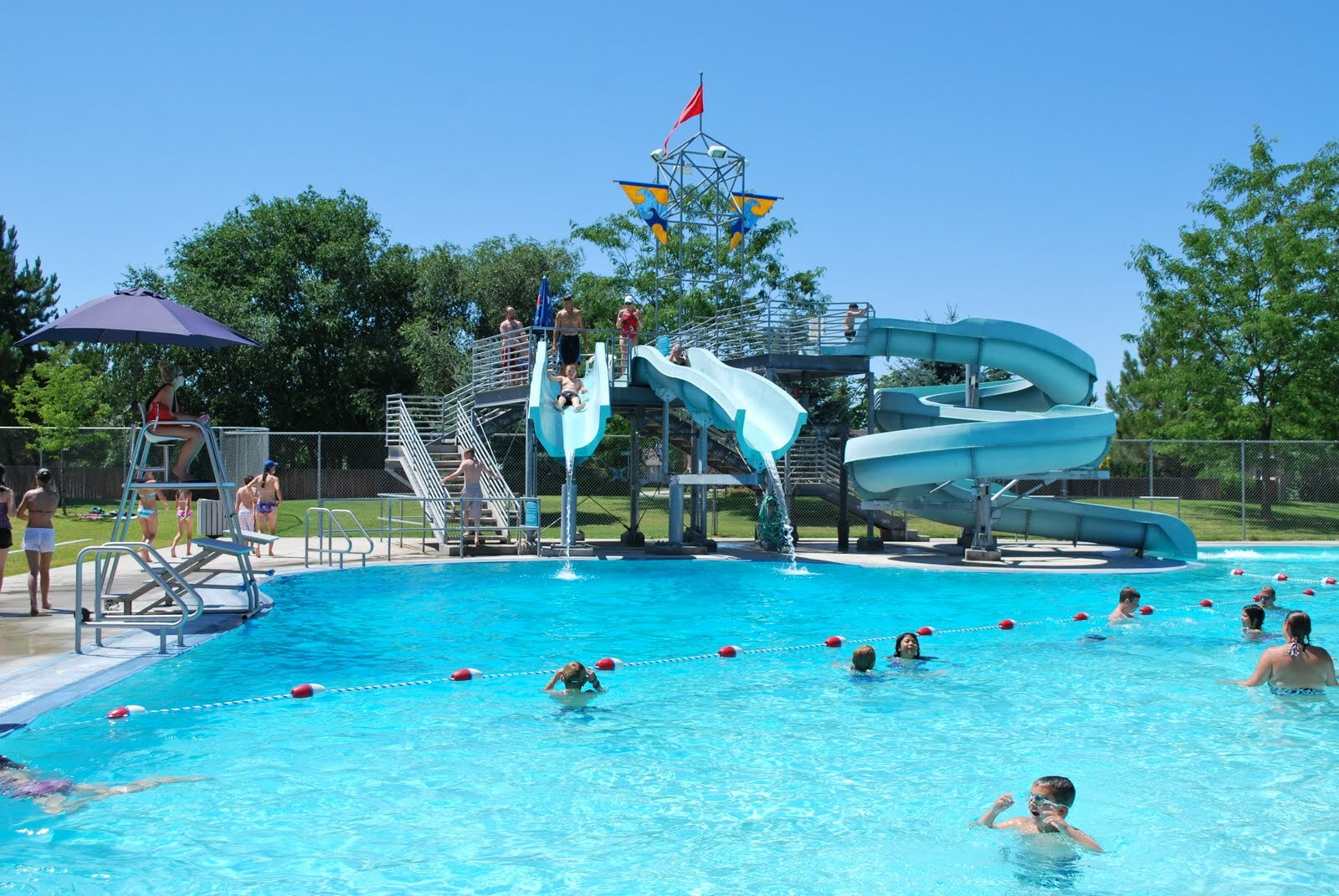 Home - Ivywild Turtles