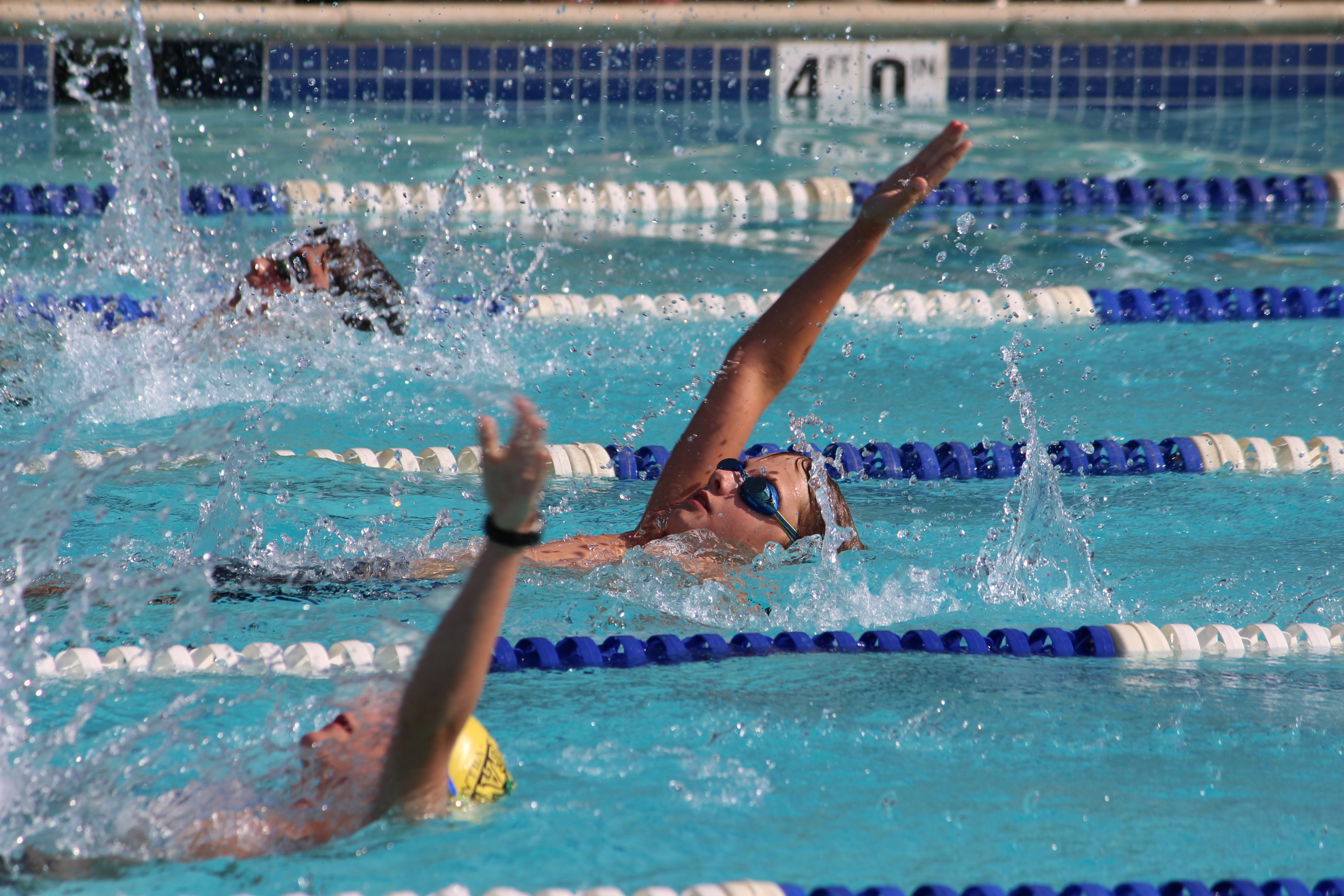 Photo Gallery - Westfield Waves Swim Team