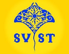 Home - Sun Valley Swim Team