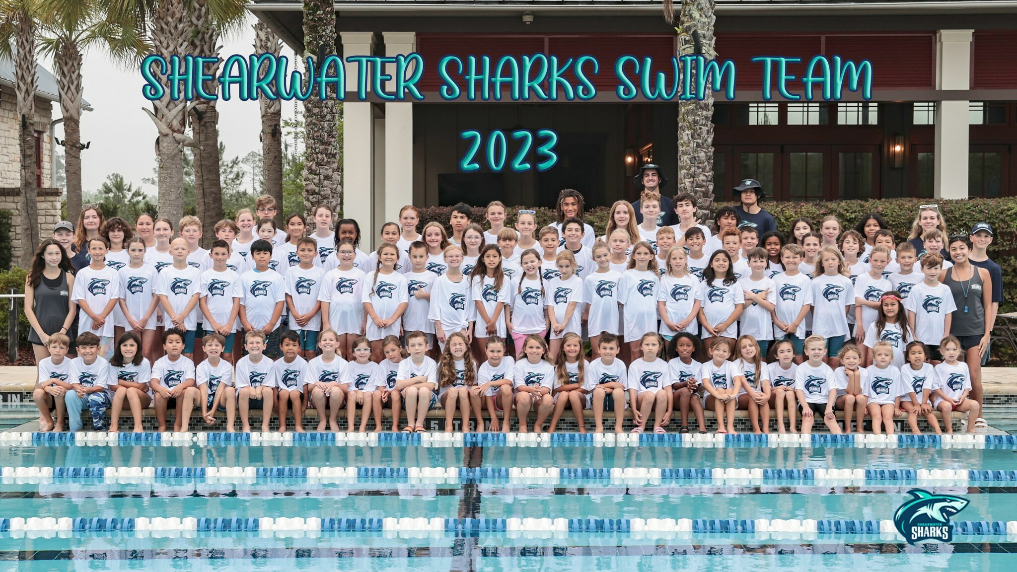 Home - Shearwater Sharks