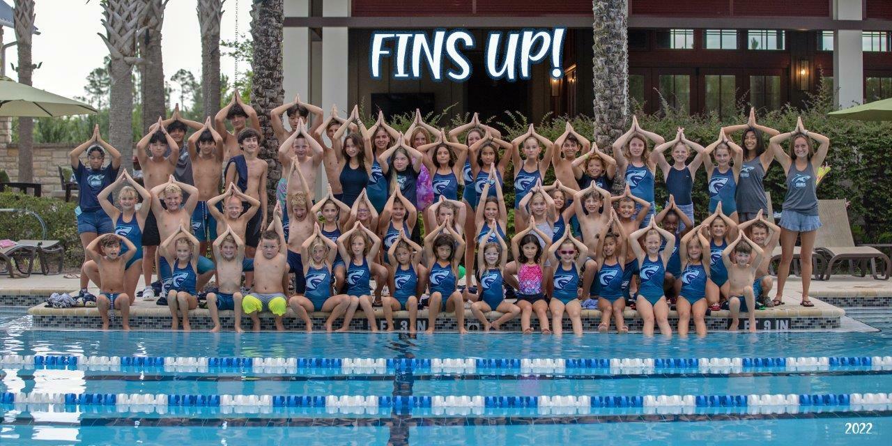 Home - Shearwater Sharks