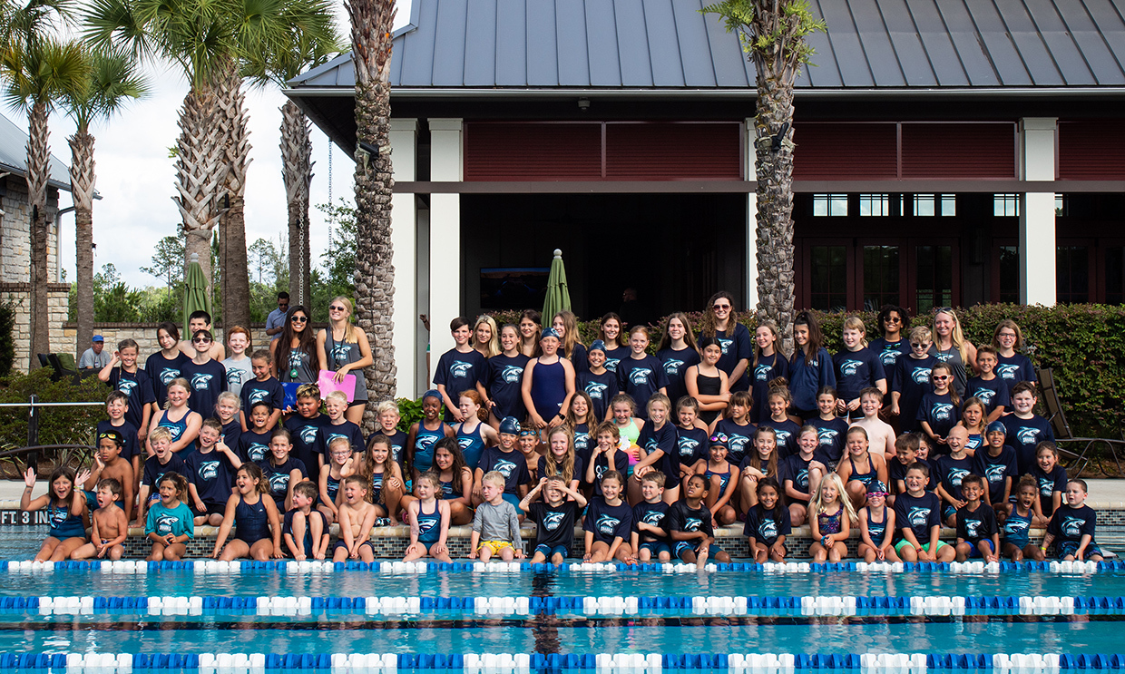 Home - Shearwater Sharks