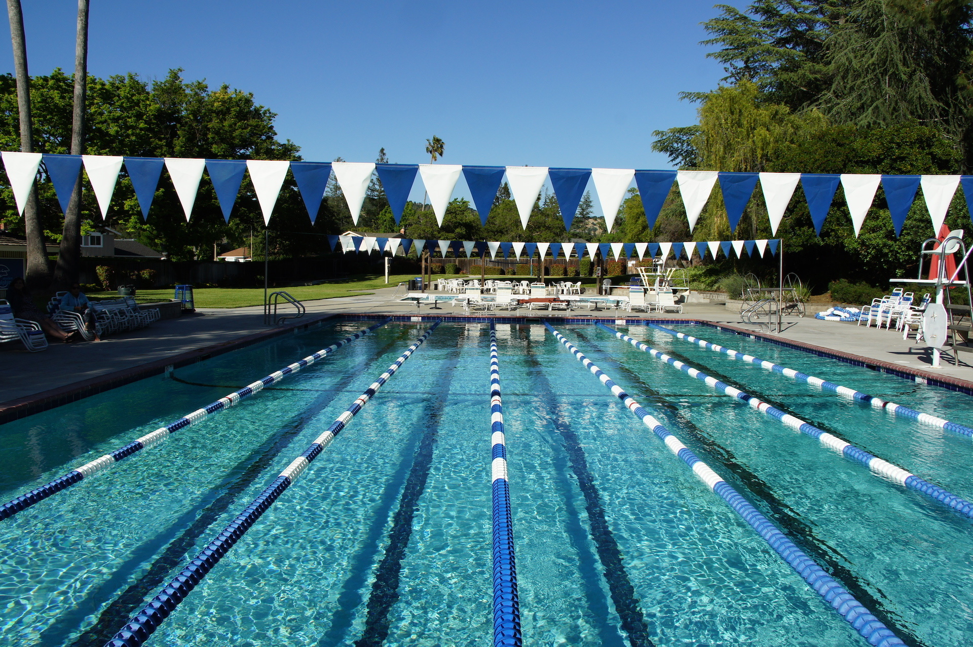 Home - Almaden Dolphins