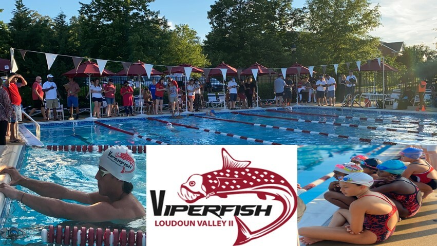 Home - LOUDOUN VALLEY II VIPERFISH
