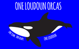 Home - One Loudoun Orcas