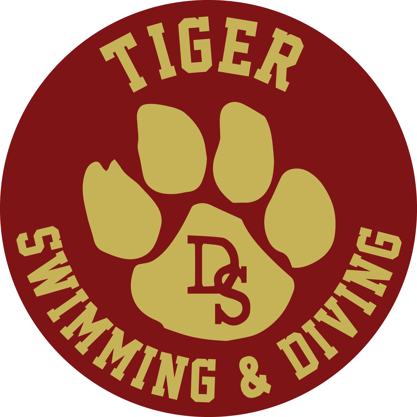 Dripping Springs Logo