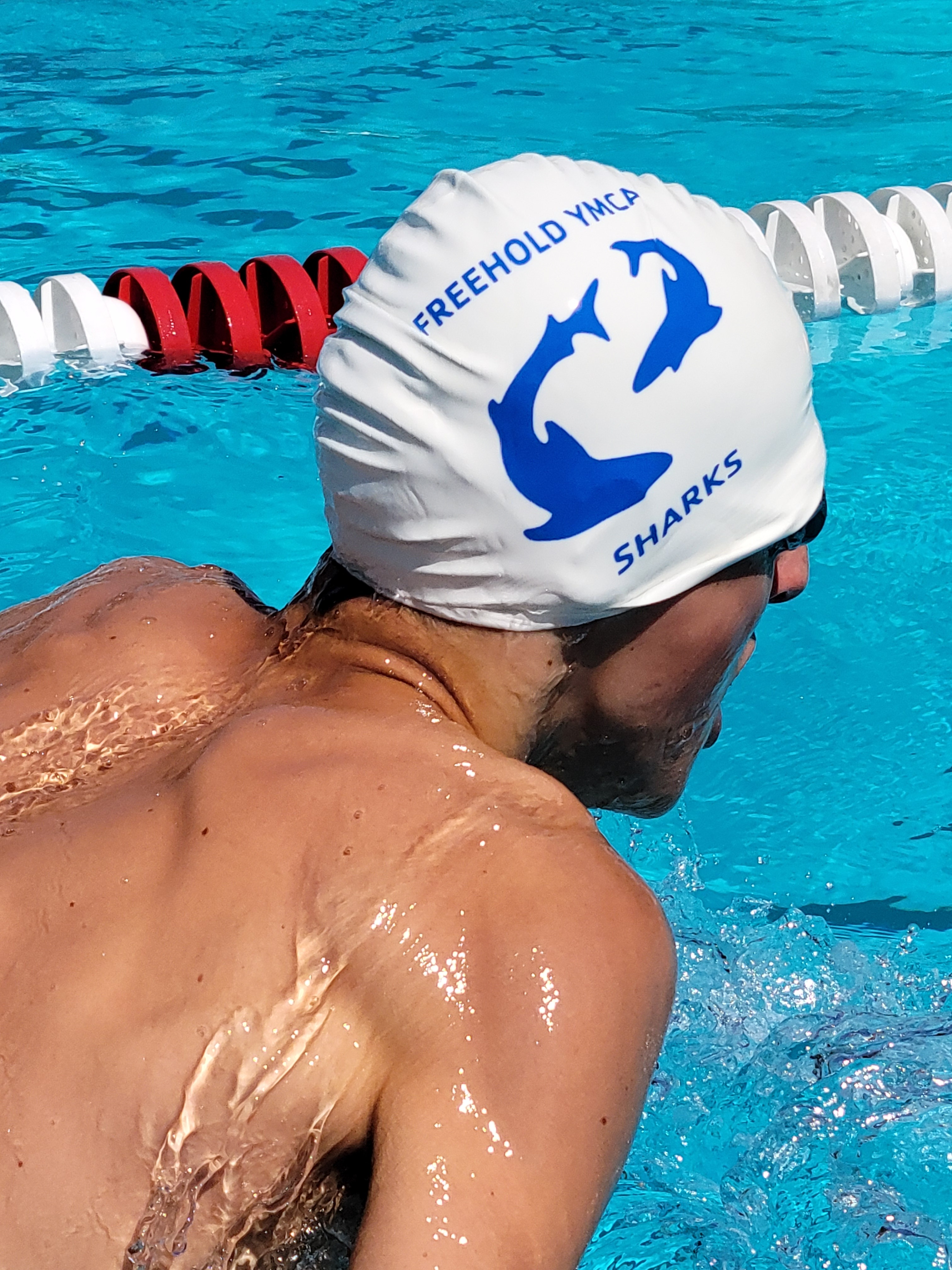 News - Freehold Sharks