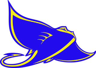 Our Team - Stonecrest Stingrays