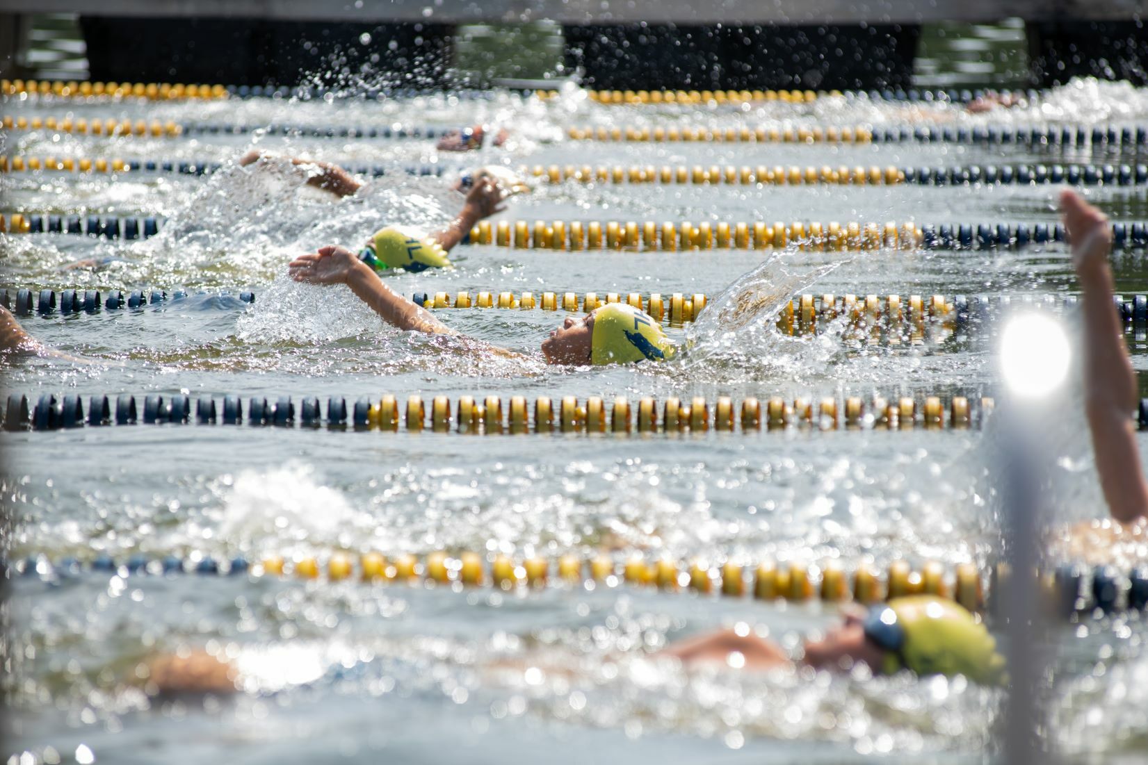 Home - Highland Lakes Swim Team