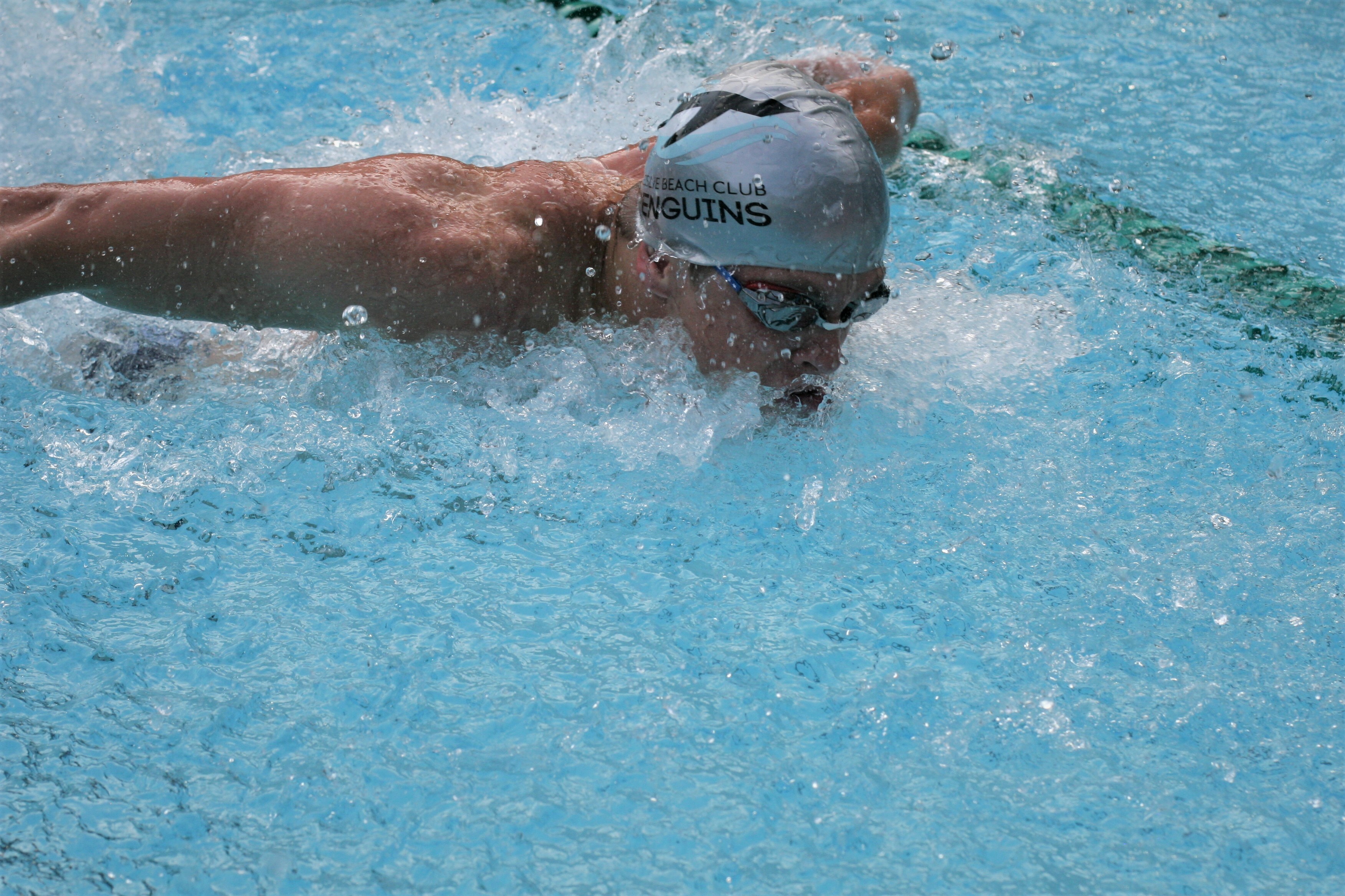 Swim Meet 101 - Leslie Beach Club