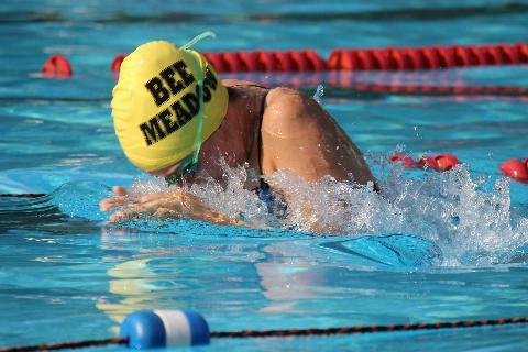 Home - Bee Meadow Swim Team