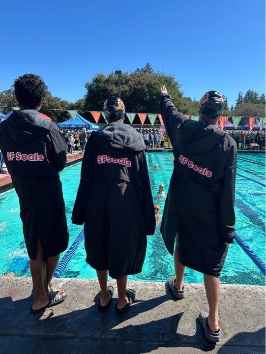 Swim Meets - San Francisco Seals Swim Team